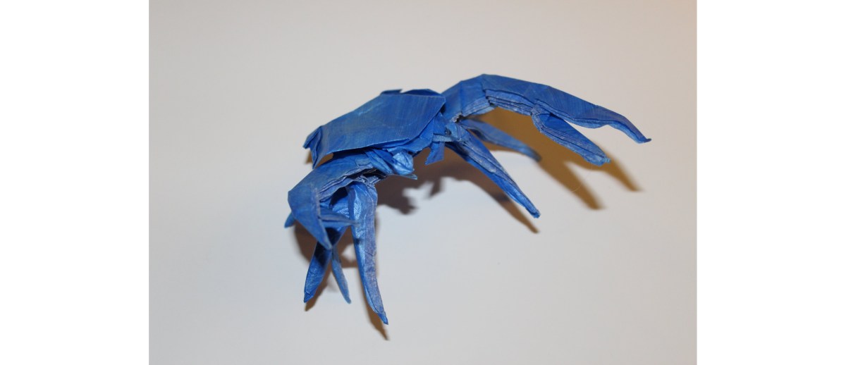 Crease Pattern Challenge 043 – Caged Scorpion Origami