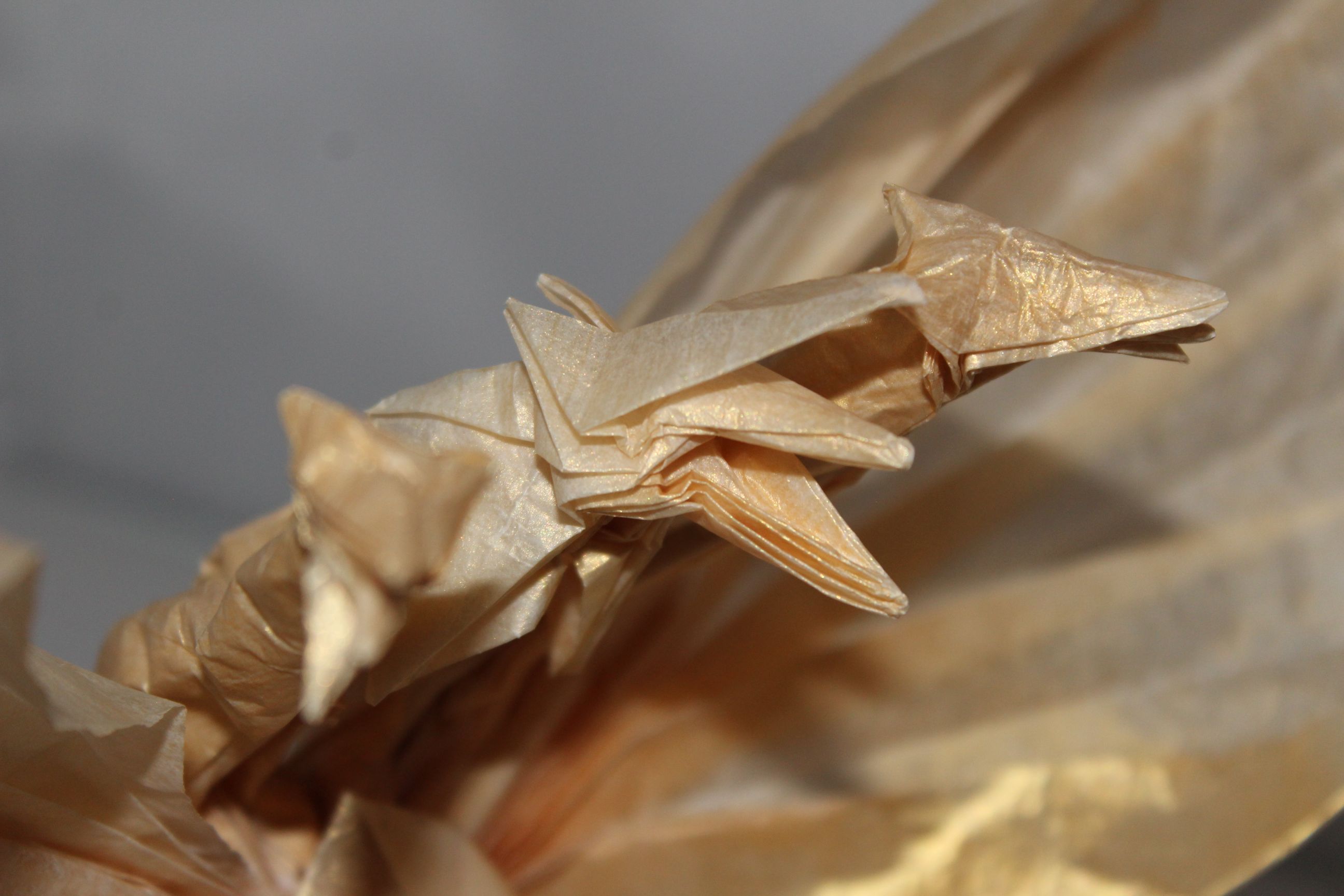 King Ghidorah – Caged Scorpion Origami