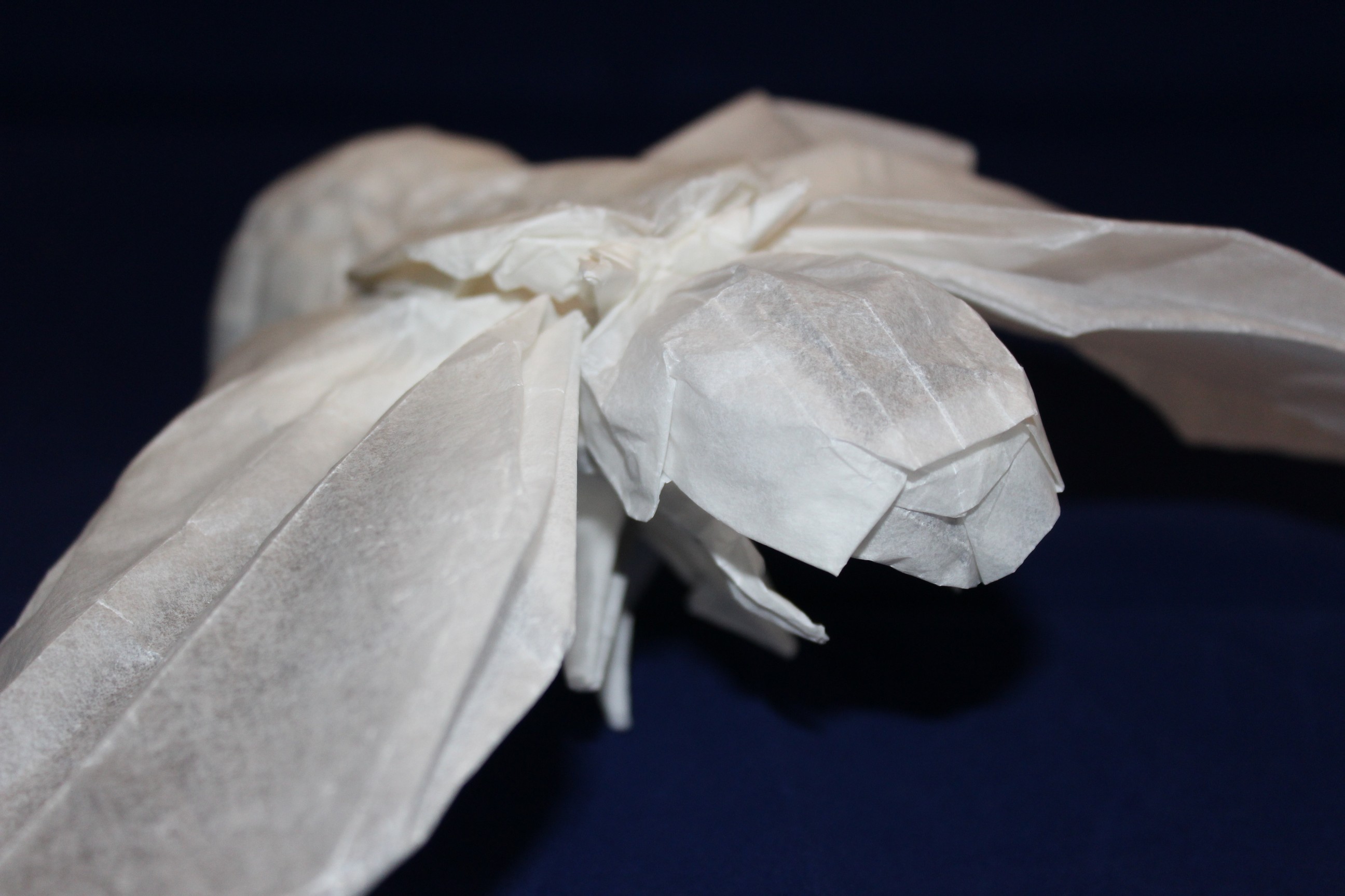 Mothra – Caged Scorpion Origami