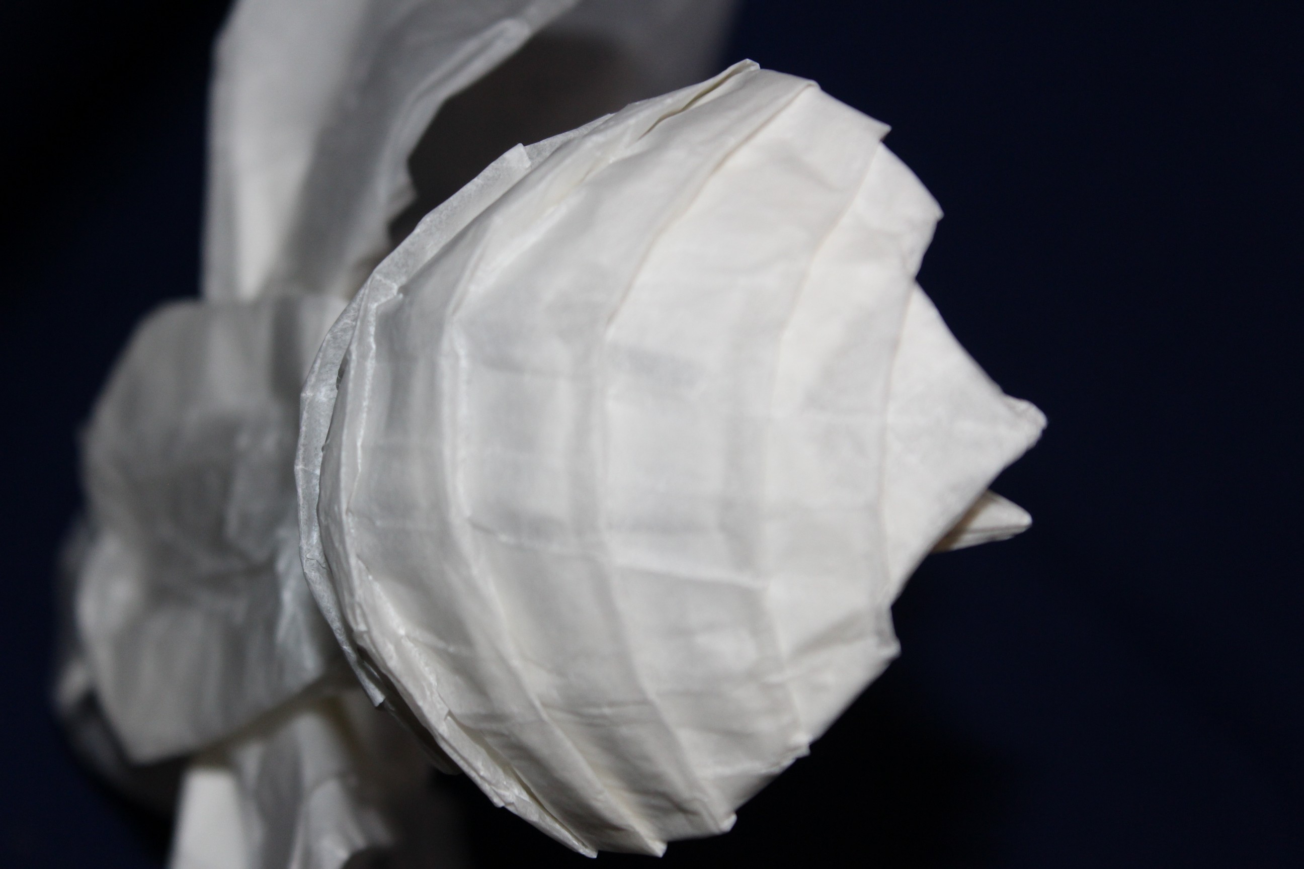 Mothra – Caged Scorpion Origami