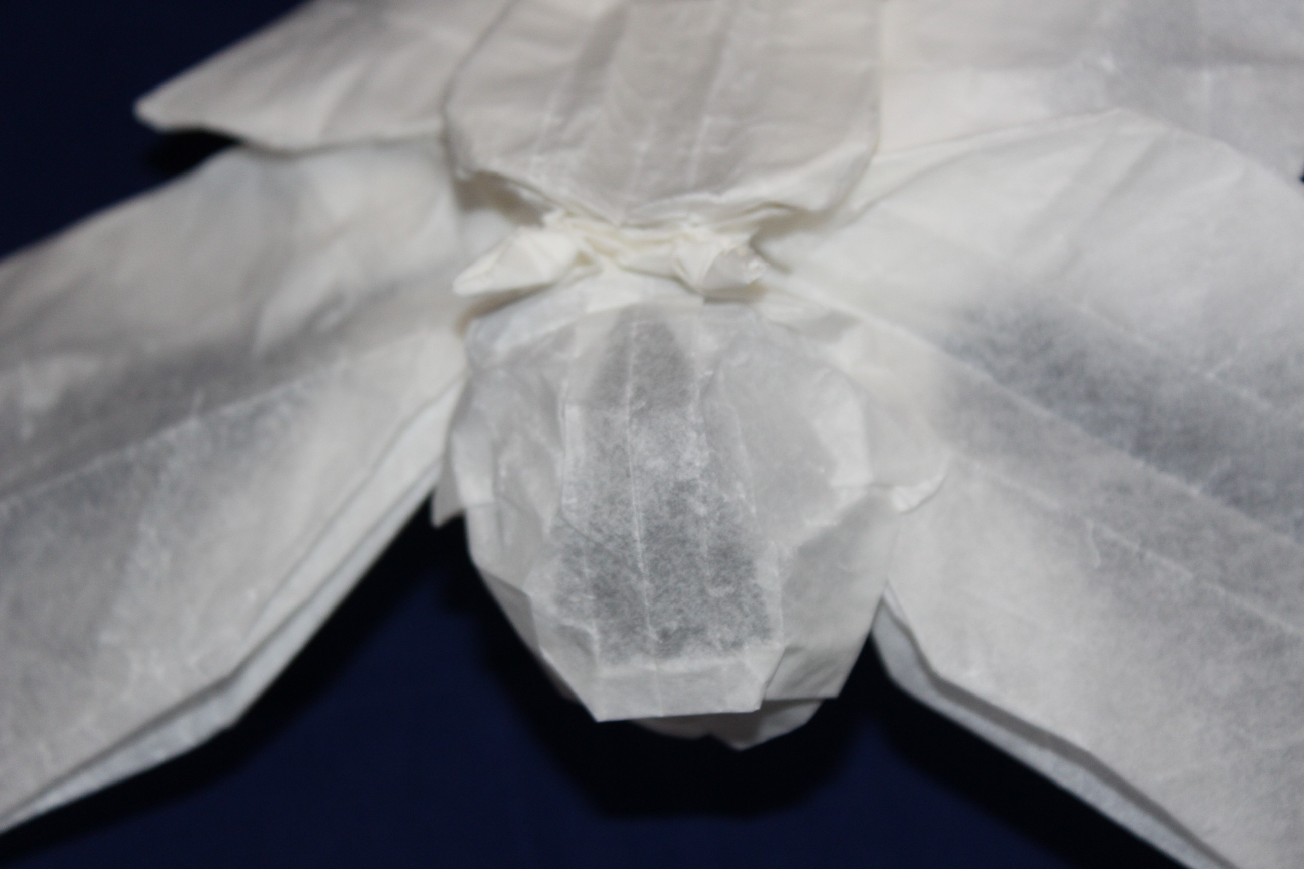 Mothra – Caged Scorpion Origami