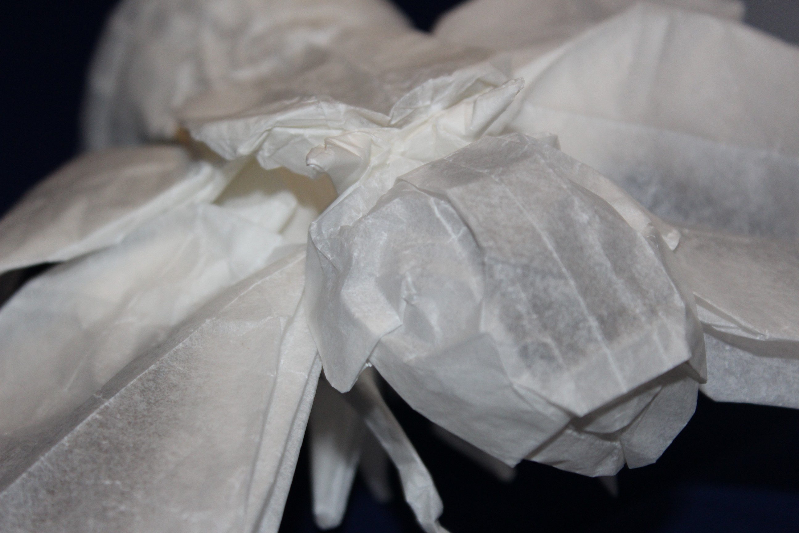 Mothra – Caged Scorpion Origami