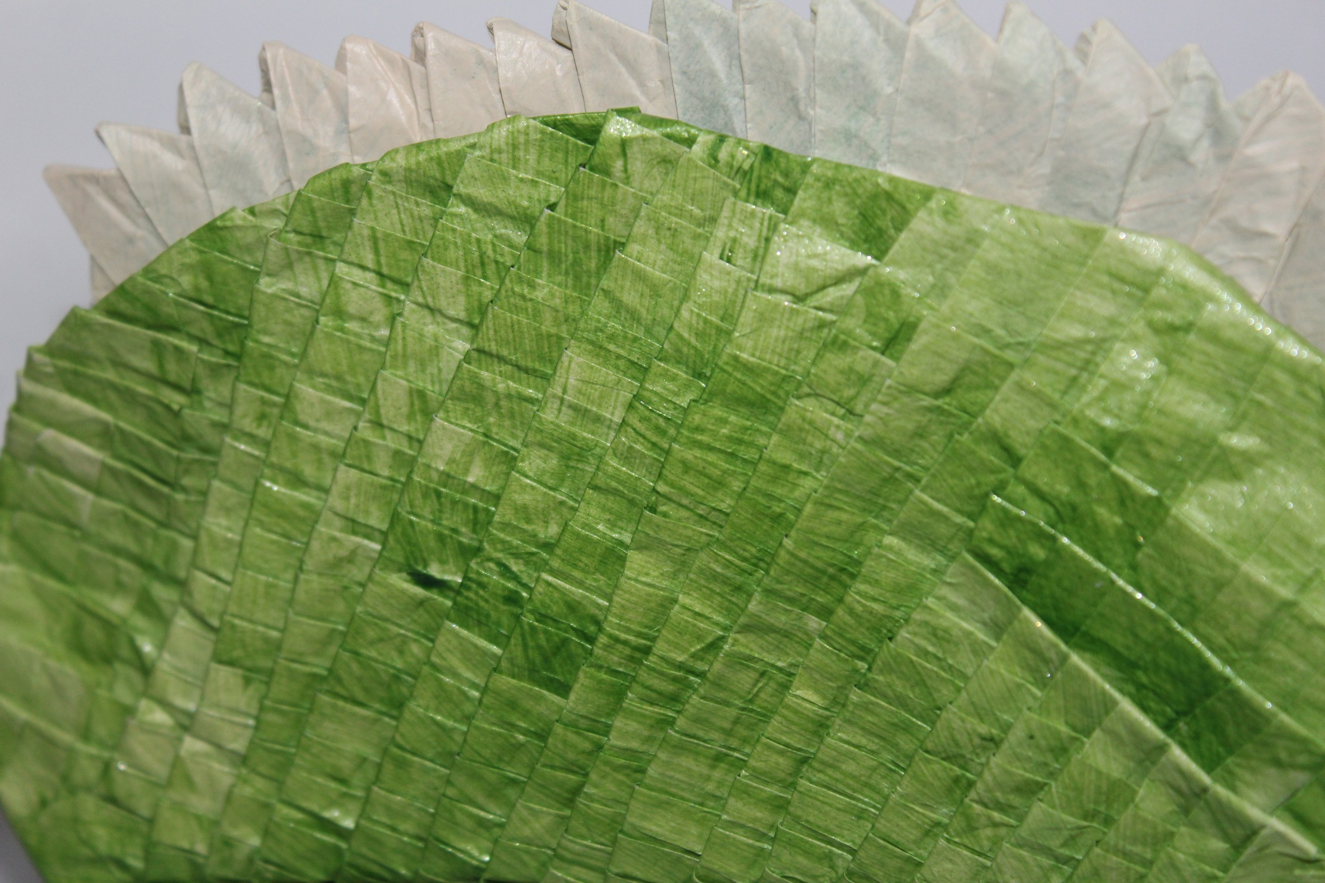 Green Dragon – Caged Scorpion Origami